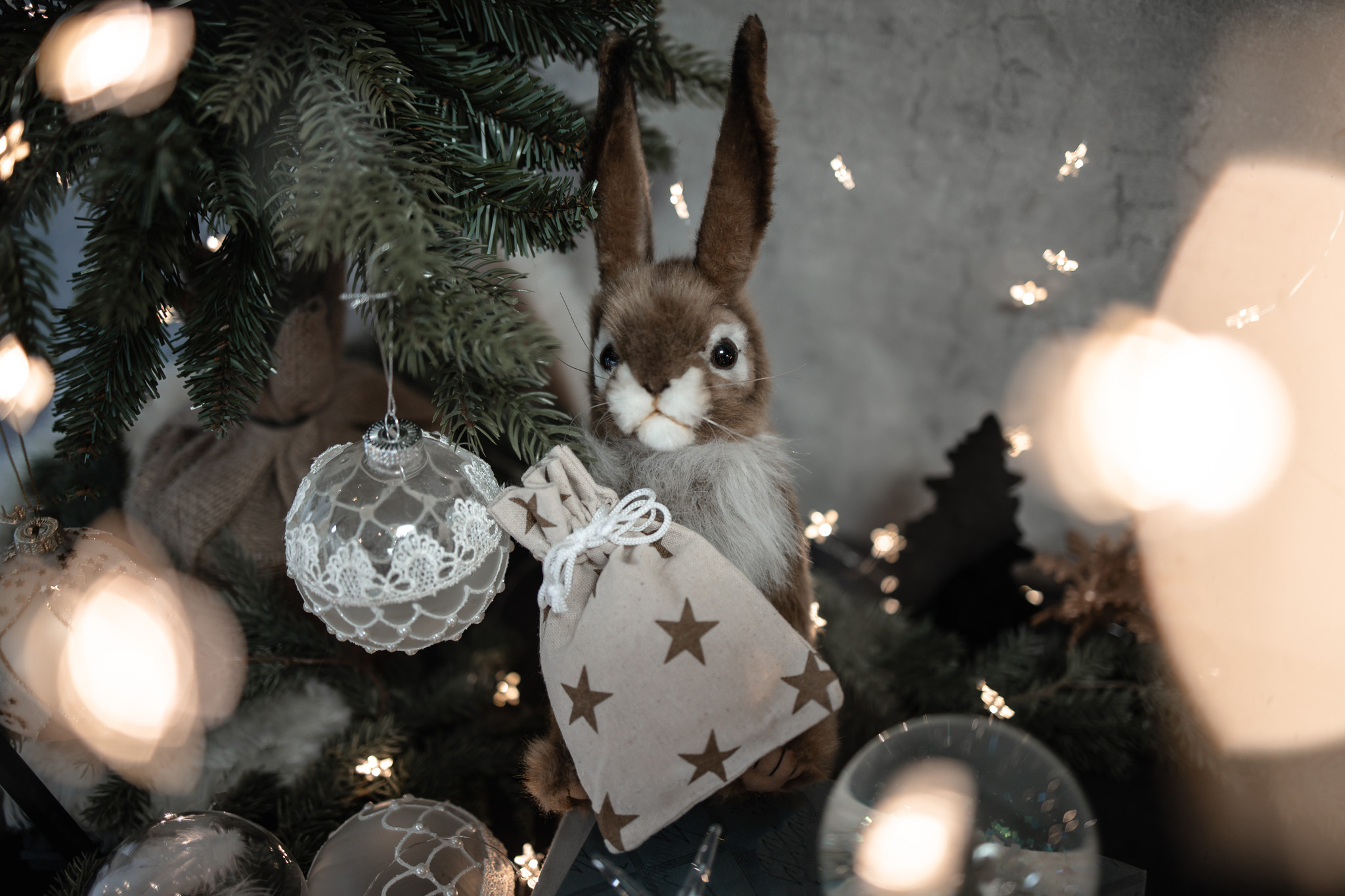 【初心者向け】株主優待の始め方★完全攻略ガイドブック♪｜ミーコと投資